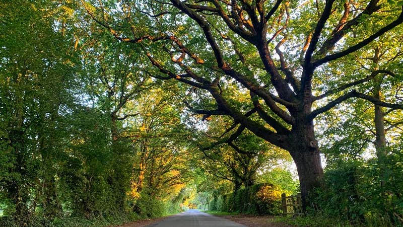 High Legh | Picturesque Village in Cheshire